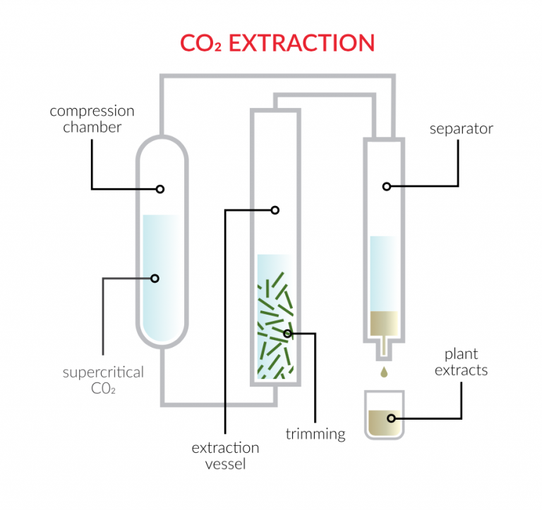Solventless extractions do not introduce any foreign substances ...